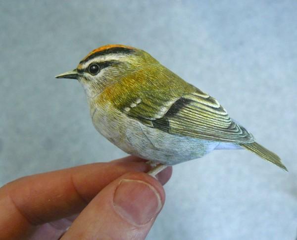 Realistic 3D Paper Birds By Johan Scherft Paperblog