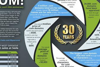 Sedo Publishes Infographic To Celebrate the 30th Anniversary of the ...