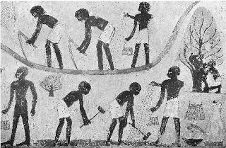 Ancient Egyptian Slaves - Paperblog