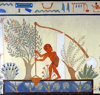 Ancient Egypt Irrigation - Paperblog