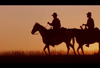 The History of The Western Genre Through 8 Must-See Films - Paperblog