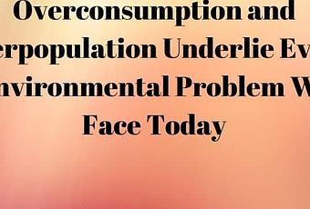 125 Great Quotes About Overpopulation and Population Growth - Paperblog