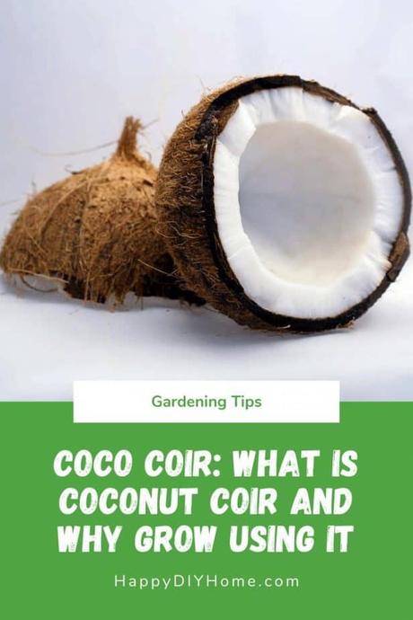 Coco Coir: What is Coconut Coir and Why Grow Using It - Paperblog