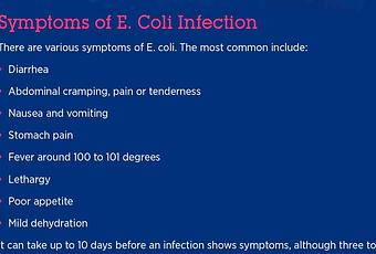 E. Coli Infection: Symptoms, Causes & Treatment - Paperblog
