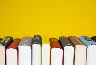 4 Education Fields That Will Help You Achieve A Successful Career ...