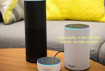 How to Setup Amazon Echo Dot? Simple Guide - Paperblog