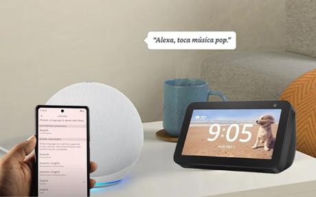 Troubleshooting Guide - How To Fix Alexa App Stuck On Setup - Paperblog