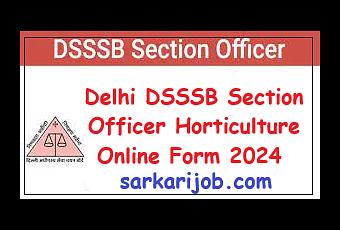 DSSSB Section Officer Horticulture Online Form 2024 - Paperblog