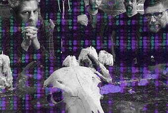 Mike Gordon: Tour Dates - Paperblog