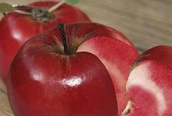 Top 10 Strange, Rare and Unusual Apples - Paperblog